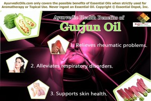 Gurjun Balsam Oil | Essential Oil