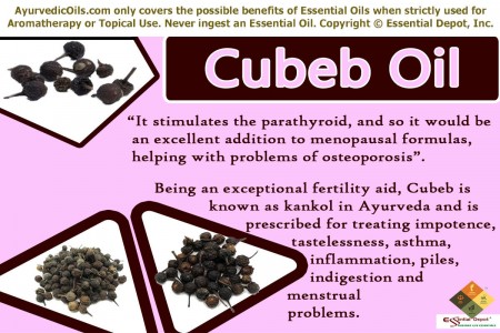 Ayurvedic health benefits of Cubeb oil | Essential Oil