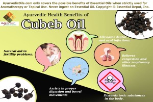 Ayurvedic health benefits of Cubeb oil | Essential Oil