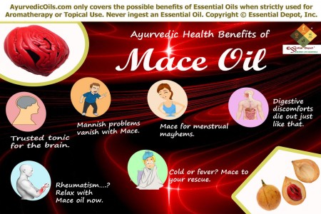 Ayurvedic uses of Mace | Essential Oil